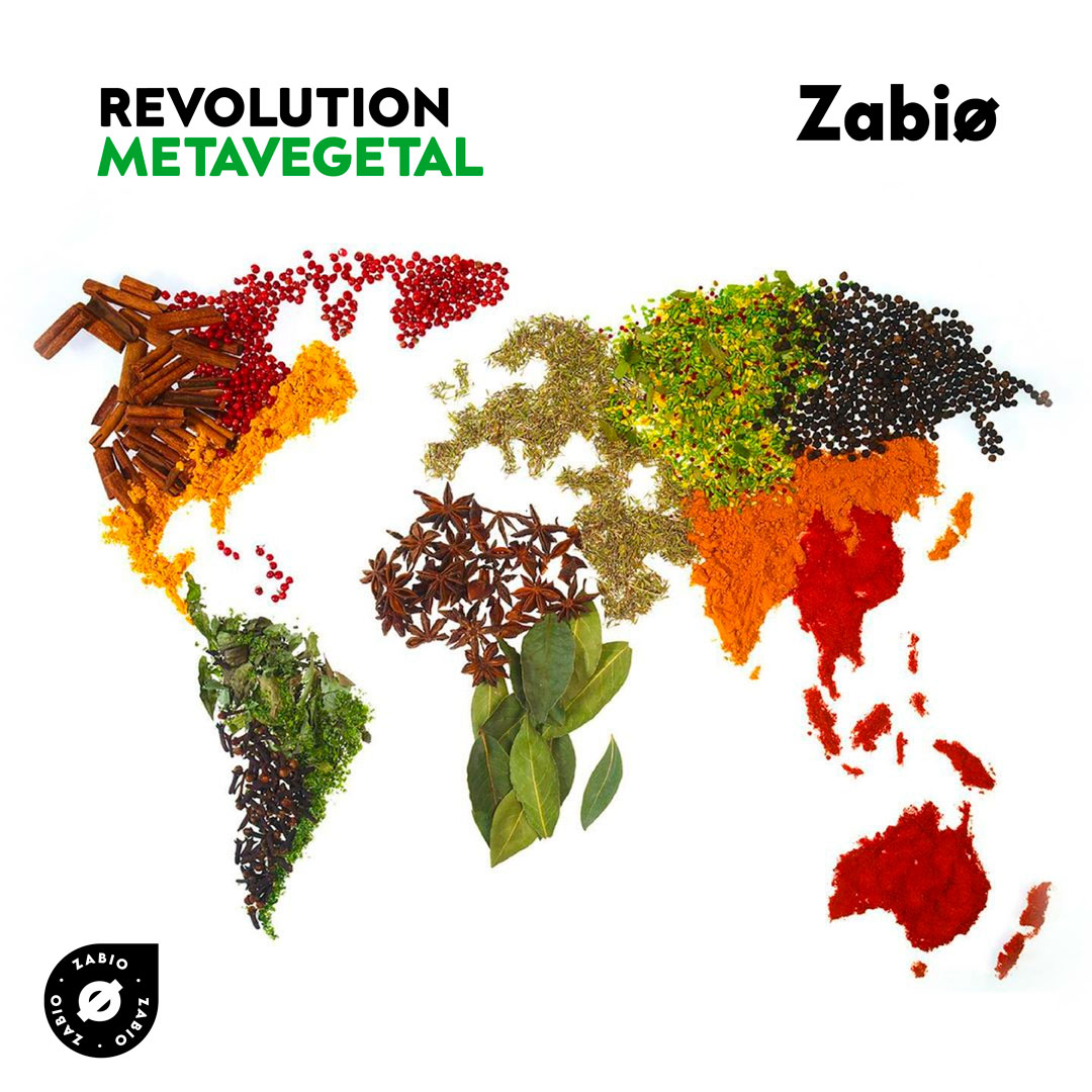 Zabio – Rehaciendo la comida que hacen de nuestro mundo un lugar mejor.
