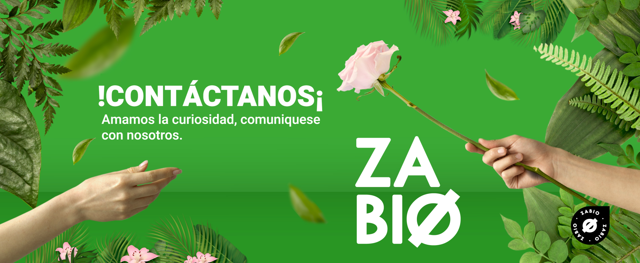 Contacto – Zabio